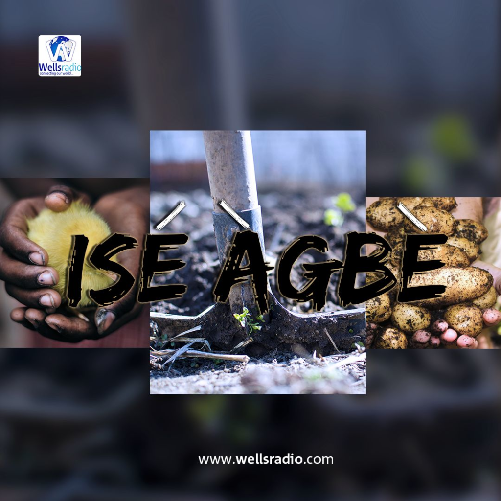 Ise Agbe Ep1 - Pataki Ise Agbe | Wellsradio 89.3 FM